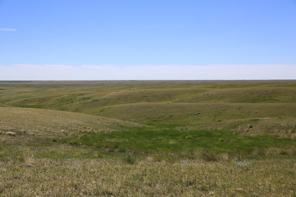 The lost gem of the PFRA Community Pastures – prairiecommons.ca